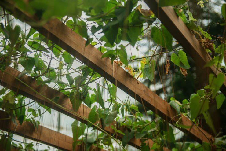 What to Buy and How to Build a Subterranean Greenhouse to Grow All Year ...
