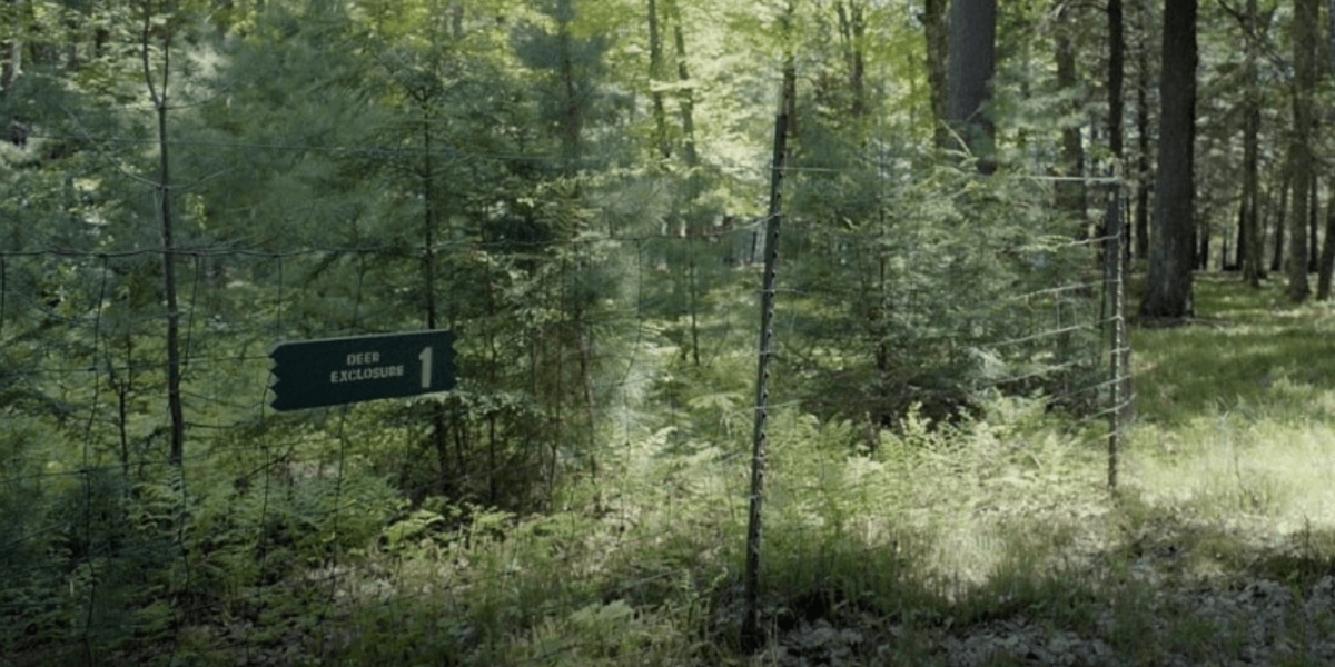 What to Buy to Make an Invisible Deer Fence for Garden Protection ...