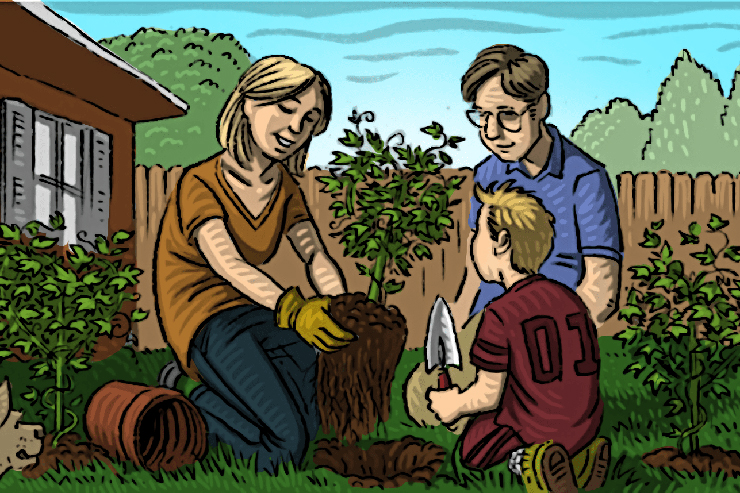 Setting Down Roots - Food Gardening Network