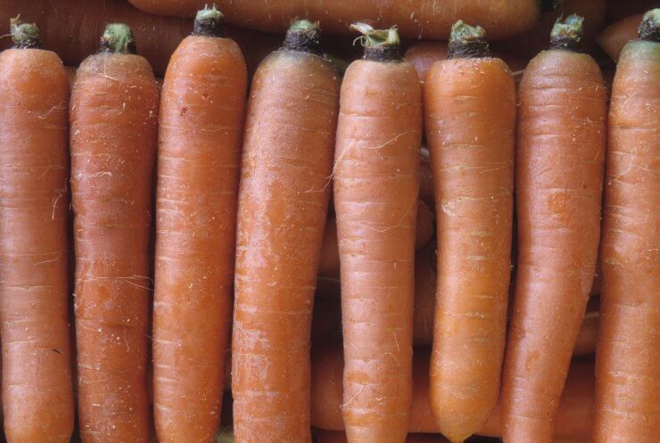 How to Rotate Vegetable Cellar Stock So Nothing Goes to Waste - Food ...