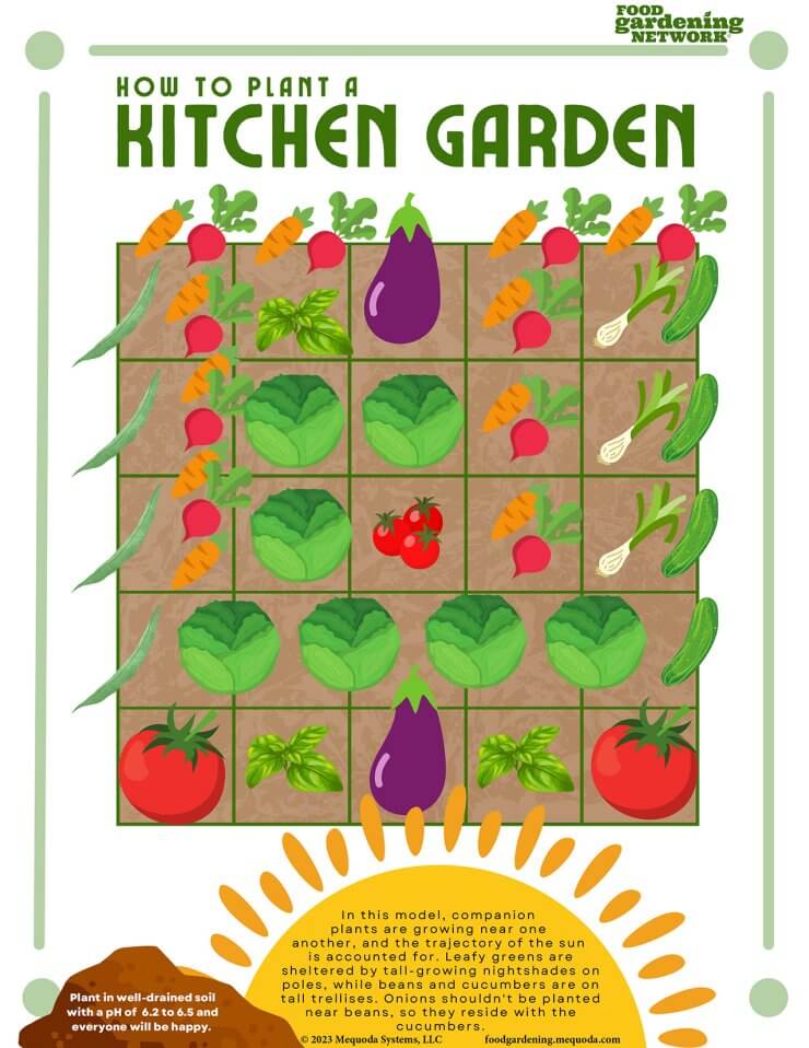 Printable Kitchen Garden Planting Charts - Food Gardening Network