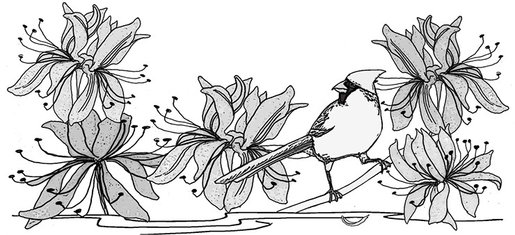 A Simple Poem For a Gardener To Enjoy - Food Gardening Network