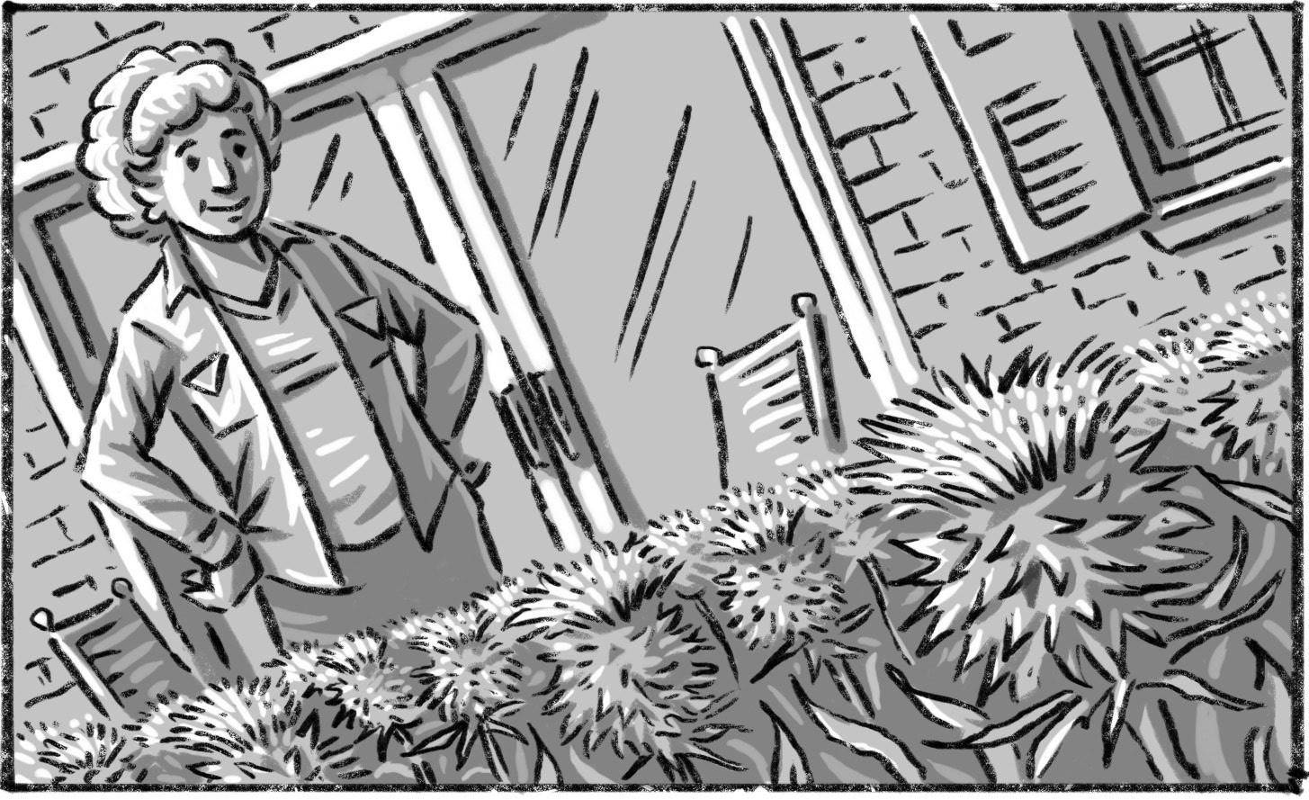 I Get By with a Little Help … - Food Gardening Network