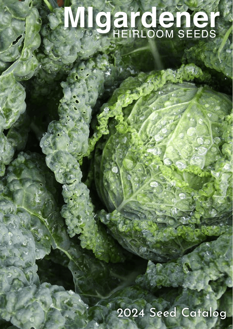 2024 Free Seed Catalogs for Veggie Gardeners - Food Gardening Network