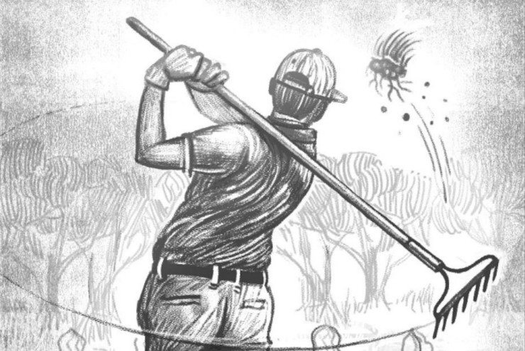 Tap-in Tomatoes! - Food Gardening Network