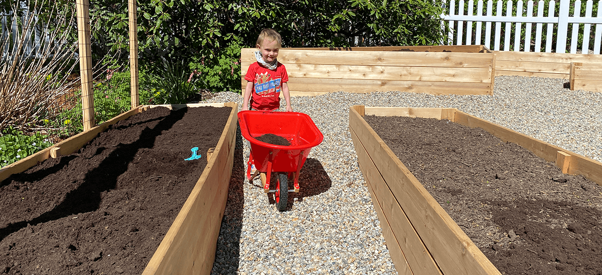Planting Seeds of Joy: The Perfect Kids Vegetable Garden for Your ...
