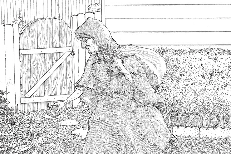 Garden Thief - Food Gardening Network