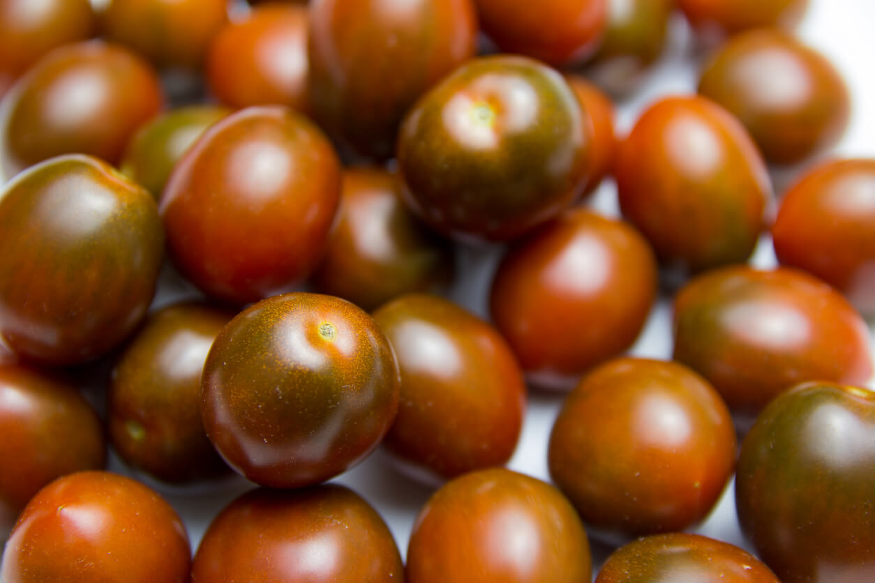 Sunchocola Cherry Tomatoes Food Gardening Network
