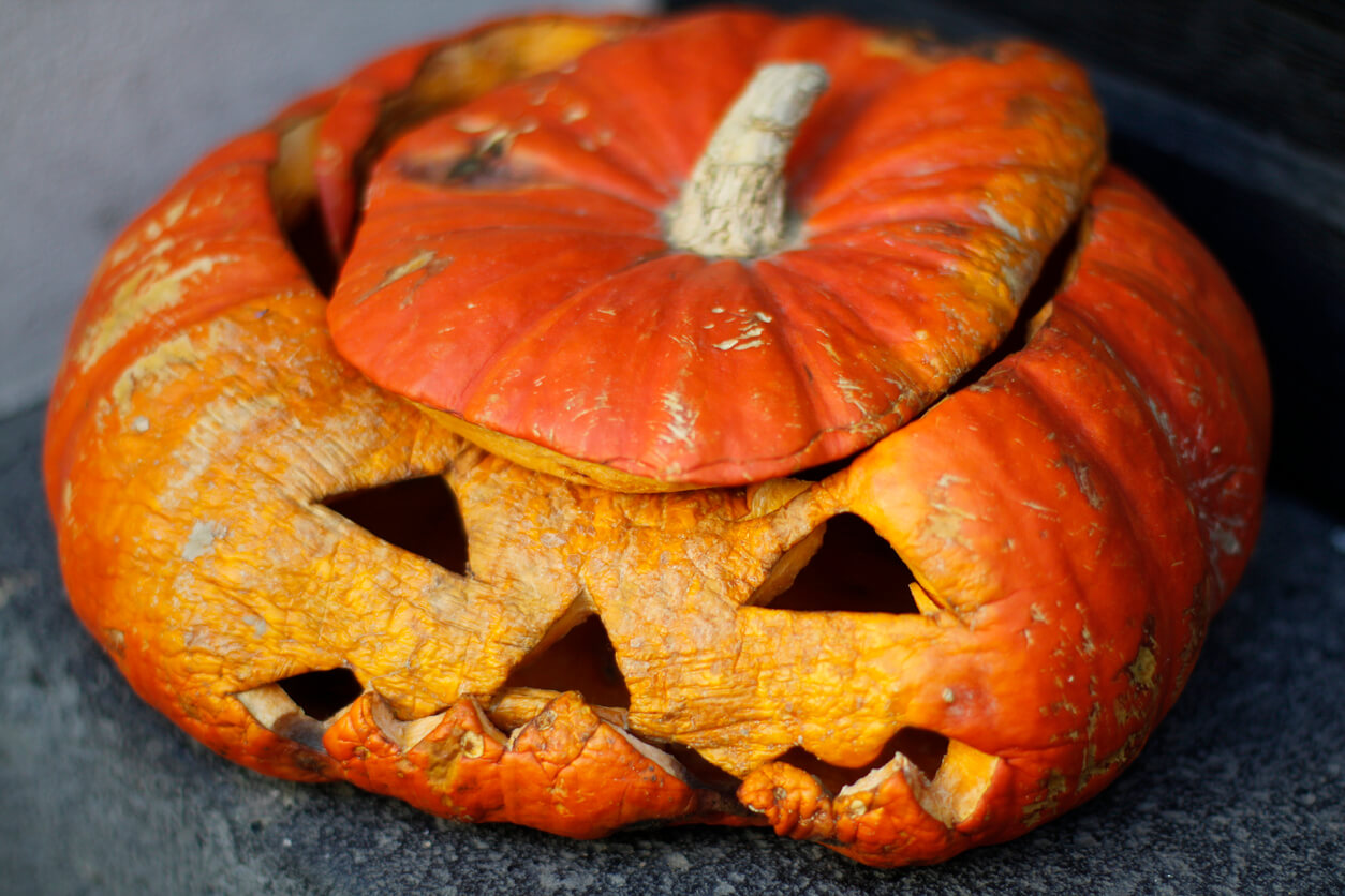 The Best Pumpkins to Grow for Carving & Tricks for the Ultimate Jack-O ...