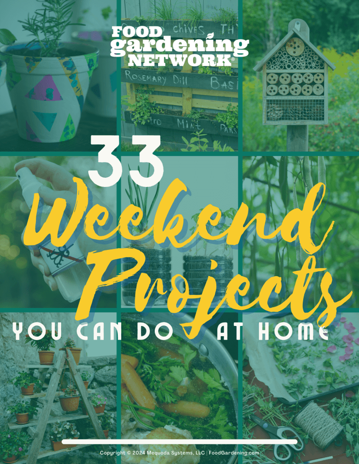 33 Weekend Projects You Can Do at Home - Food Gardening Network