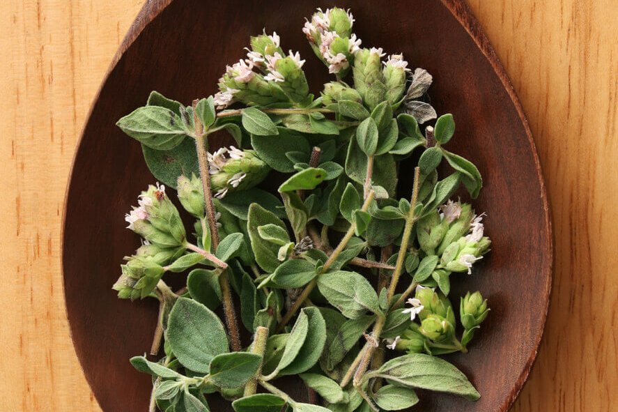 Home Remedies & Health Benefits of Oregano - Food Gardening Network