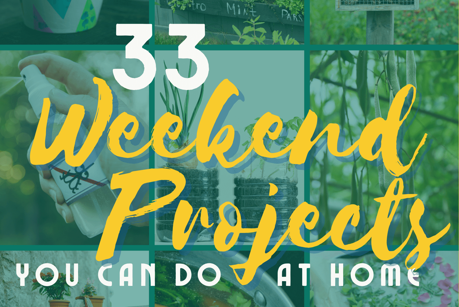 33 Weekend Projects You Can Do at Home - Food Gardening Network
