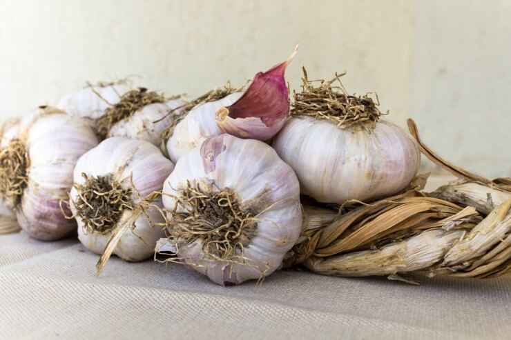 How to Grow an Authentic Italian Garden - Food Gardening Network