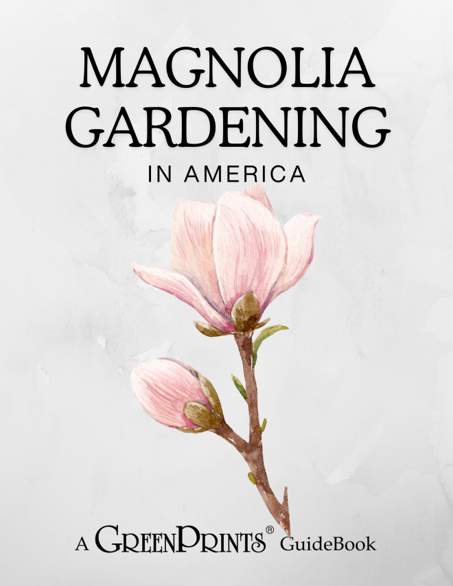 Magnolia Gardening in America—a GreenPrints GuideBook - Food Gardening ...