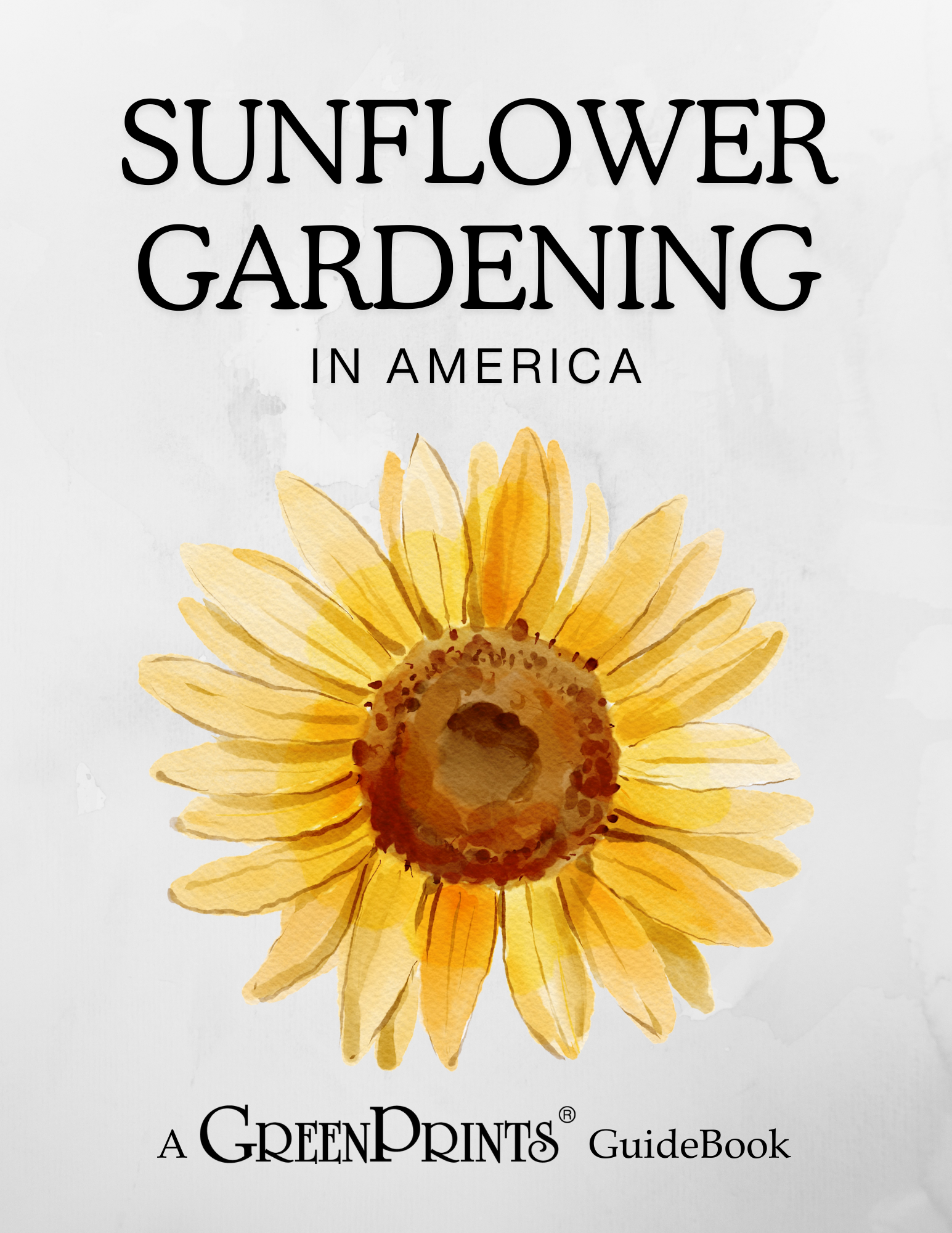The History of Sunflower Gardens in America - Food Gardening Network
