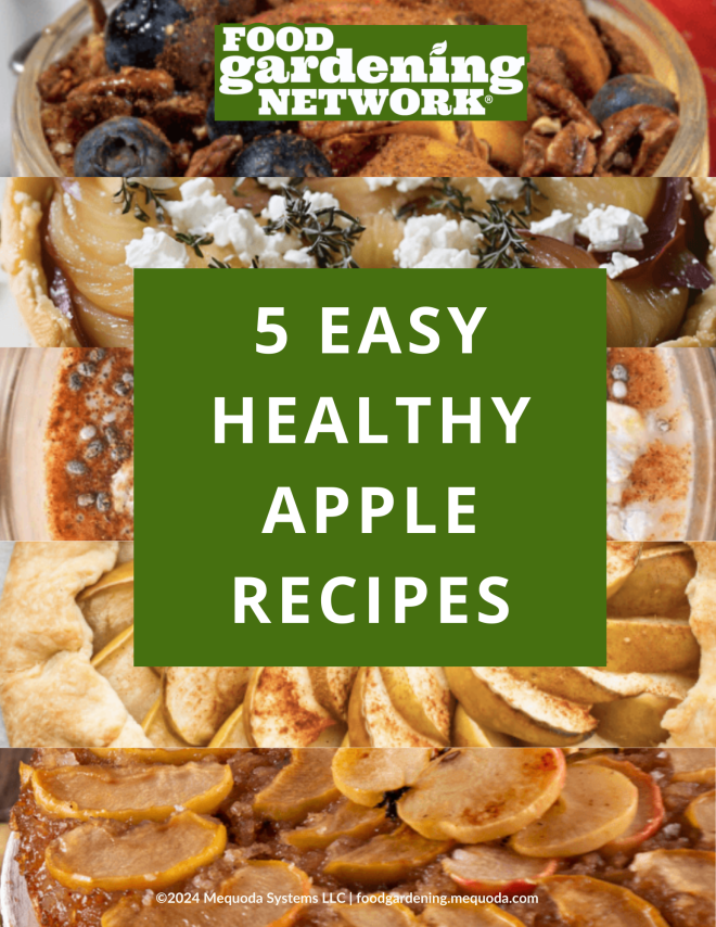 5 Easy Healthy Apple Recipes - Food Gardening Network