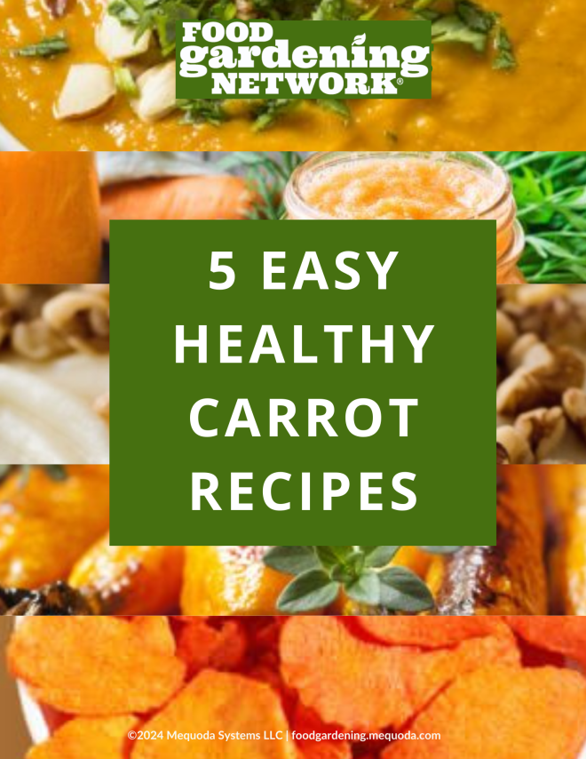 5 Easy Healthy Carrot Recipes - Food Gardening Network