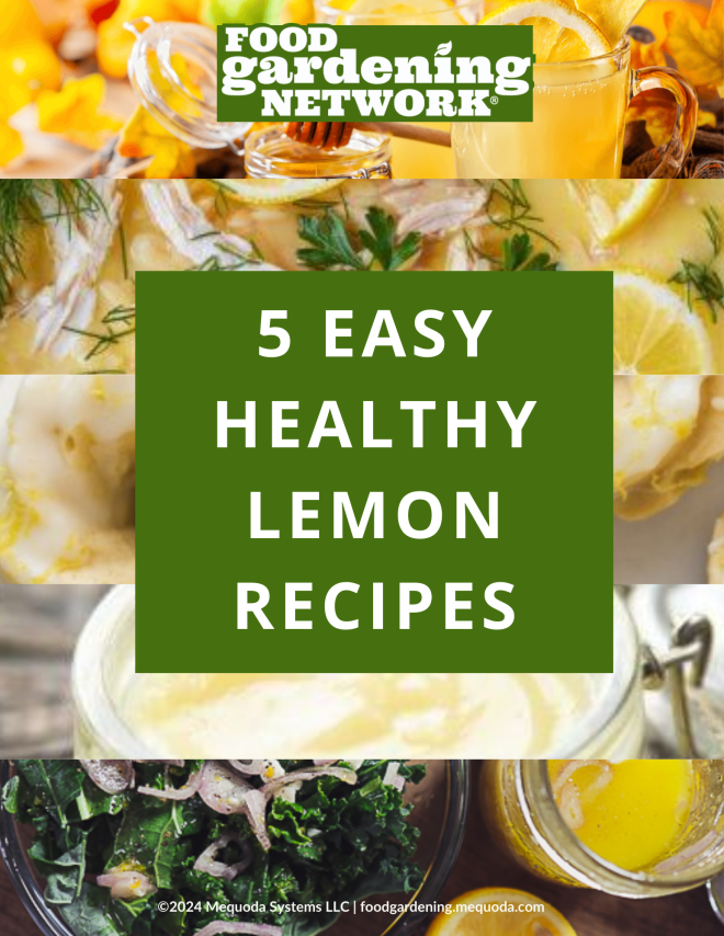 5 Easy Healthy Lemon Recipes - Food Gardening Network