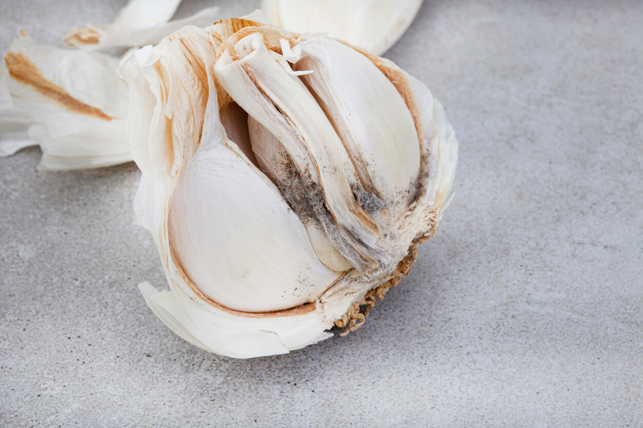 When Good Garlic Goes Bad: A Gardener's Guide to Spotting Spoiled ...