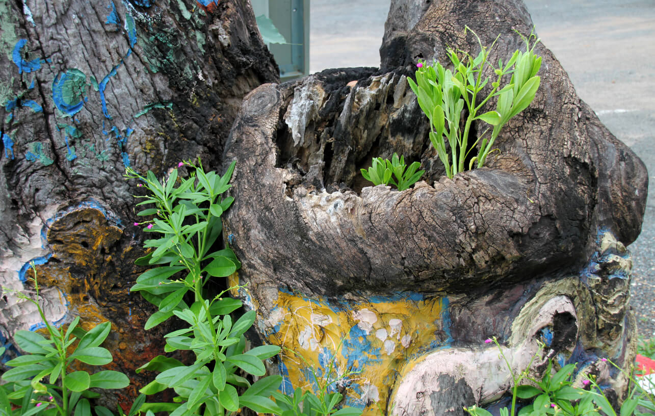 How to Use Old Containers for Creative Gardening Solutions - Food ...