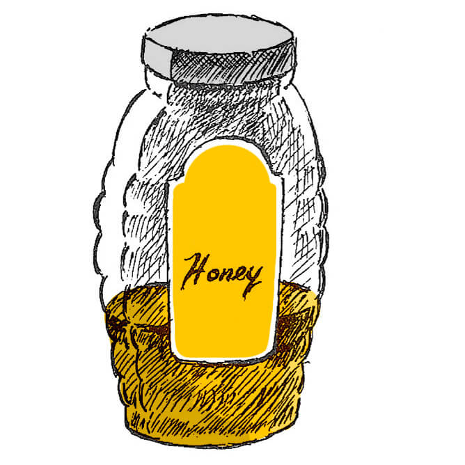 "English Flies" - Food Gardening Network