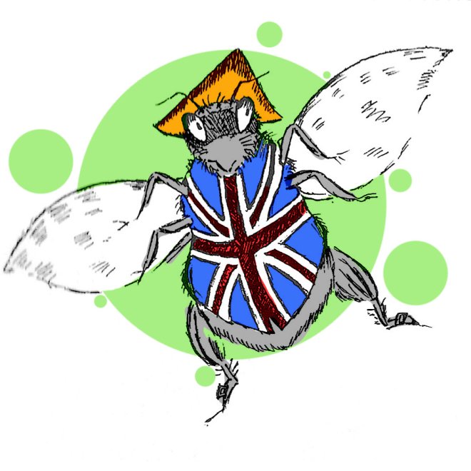 "English Flies" - Food Gardening Network