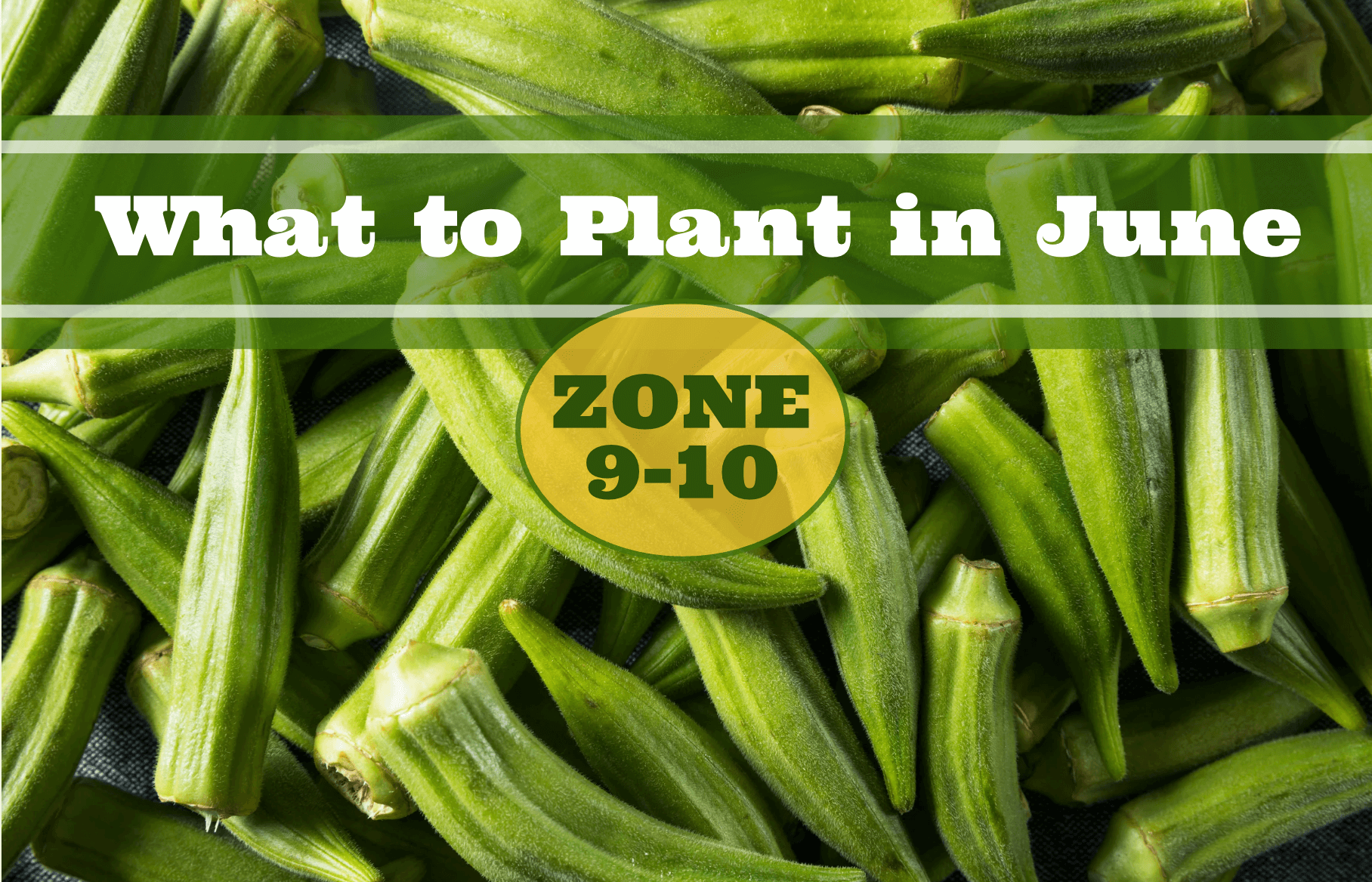 What to Plant in June in USDA Zones 9-10 - Food Gardening Network