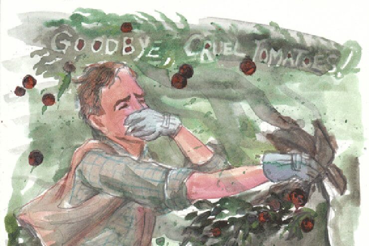 Goodbye, Cruel Tomatoes! - Food Gardening Network